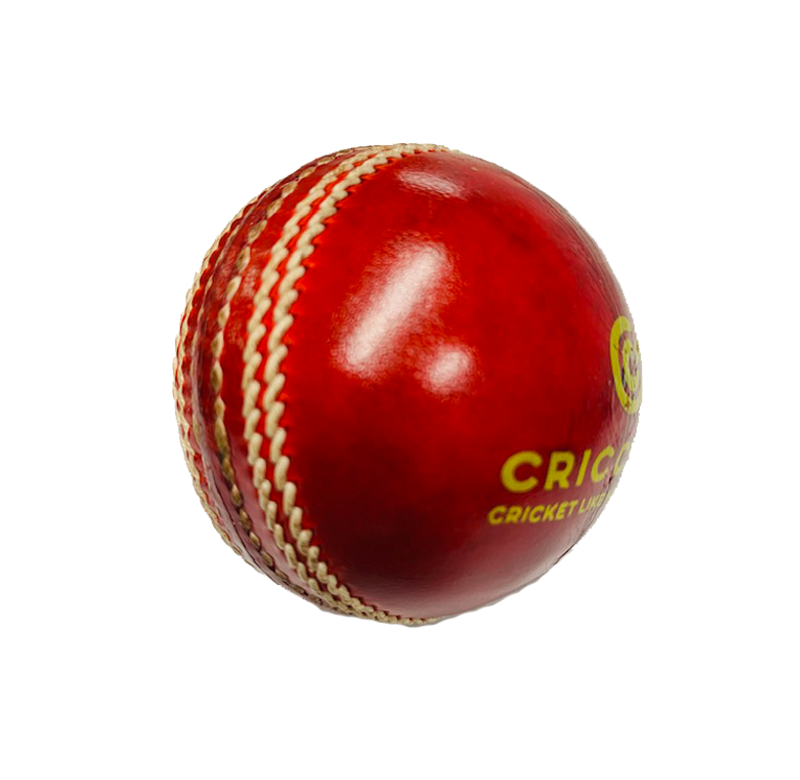 Premium Cricket Leather Ball, Pack of 6 (Red) - Strive8
